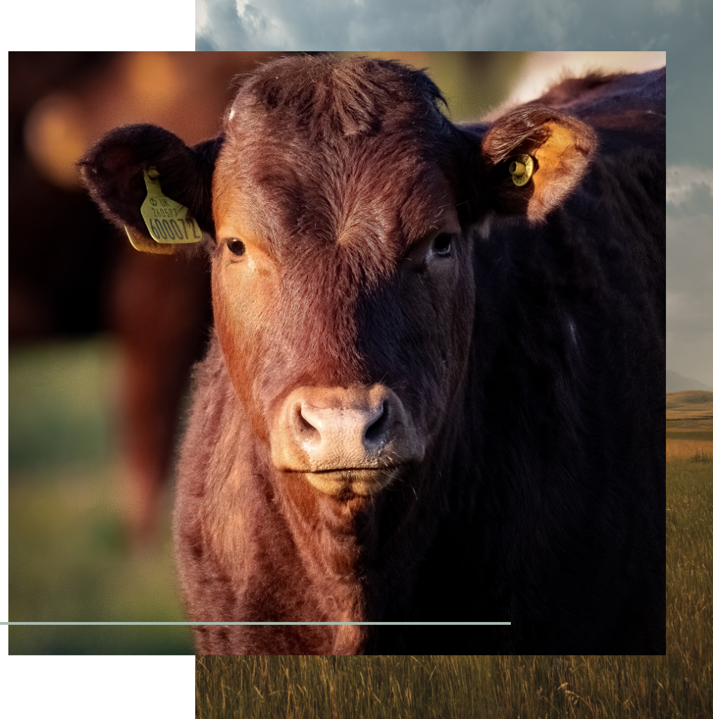 Innovation Lab | PERC