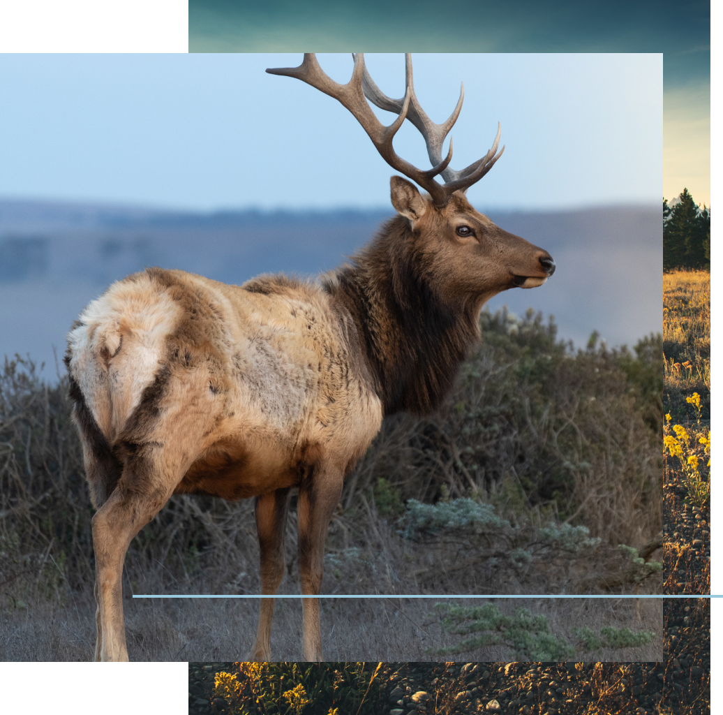 Innovation Lab | PERC