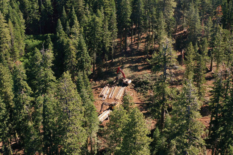 Fix Our Forests Act, Explained | PERC
