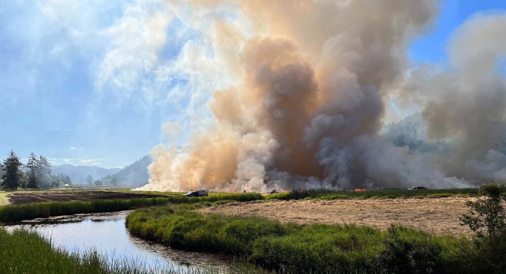 Burn Back Better | PERC