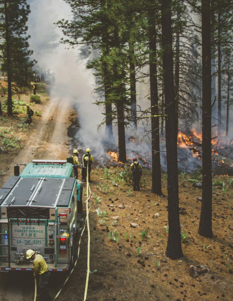 Burn Back Better | PERC