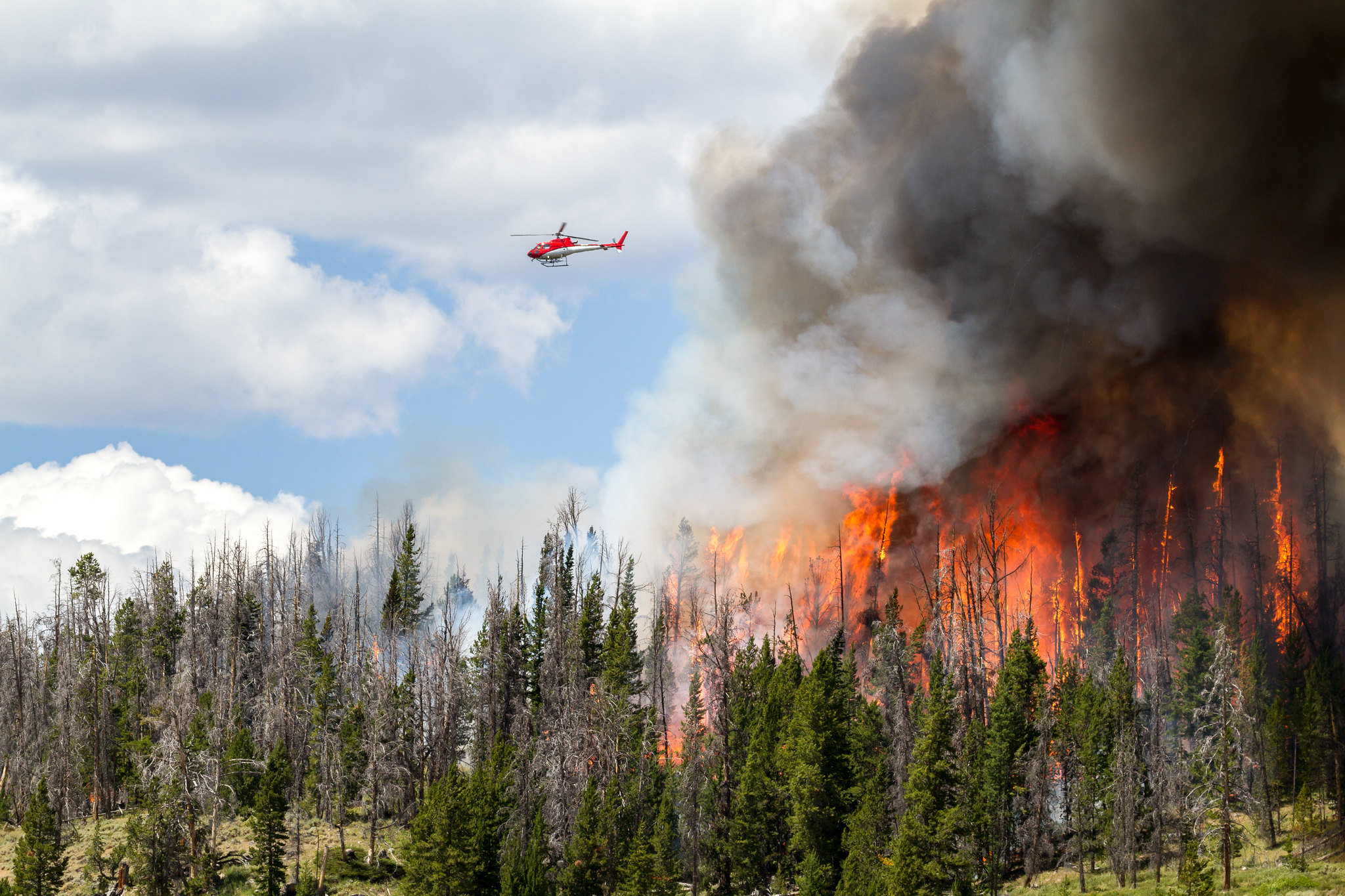 Bureaucracy Is Slow, But Wildfires Move Fast | PERC