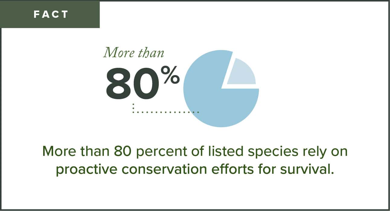 A Field Guide for Wildlife Recovery | PERC