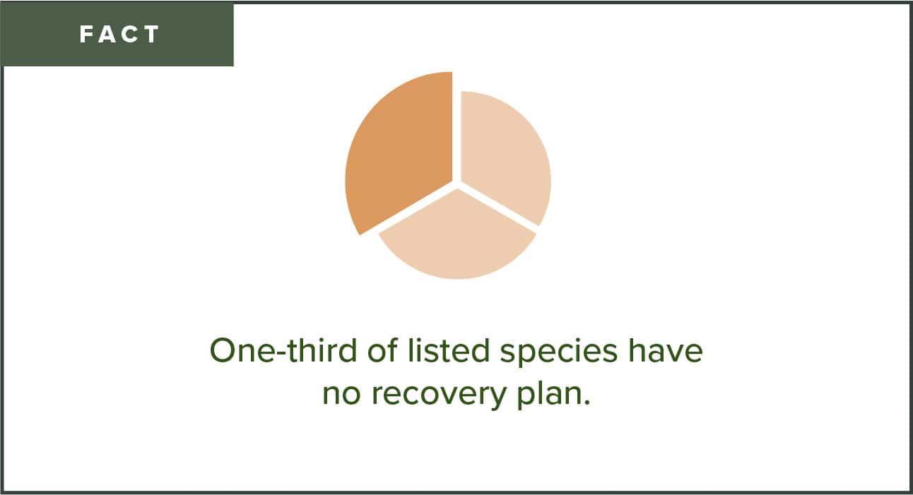 A Field Guide for Wildlife Recovery | PERC