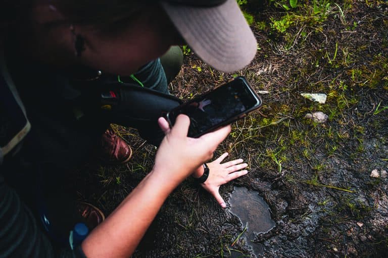 A Field Guide for Wildlife Recovery | PERC