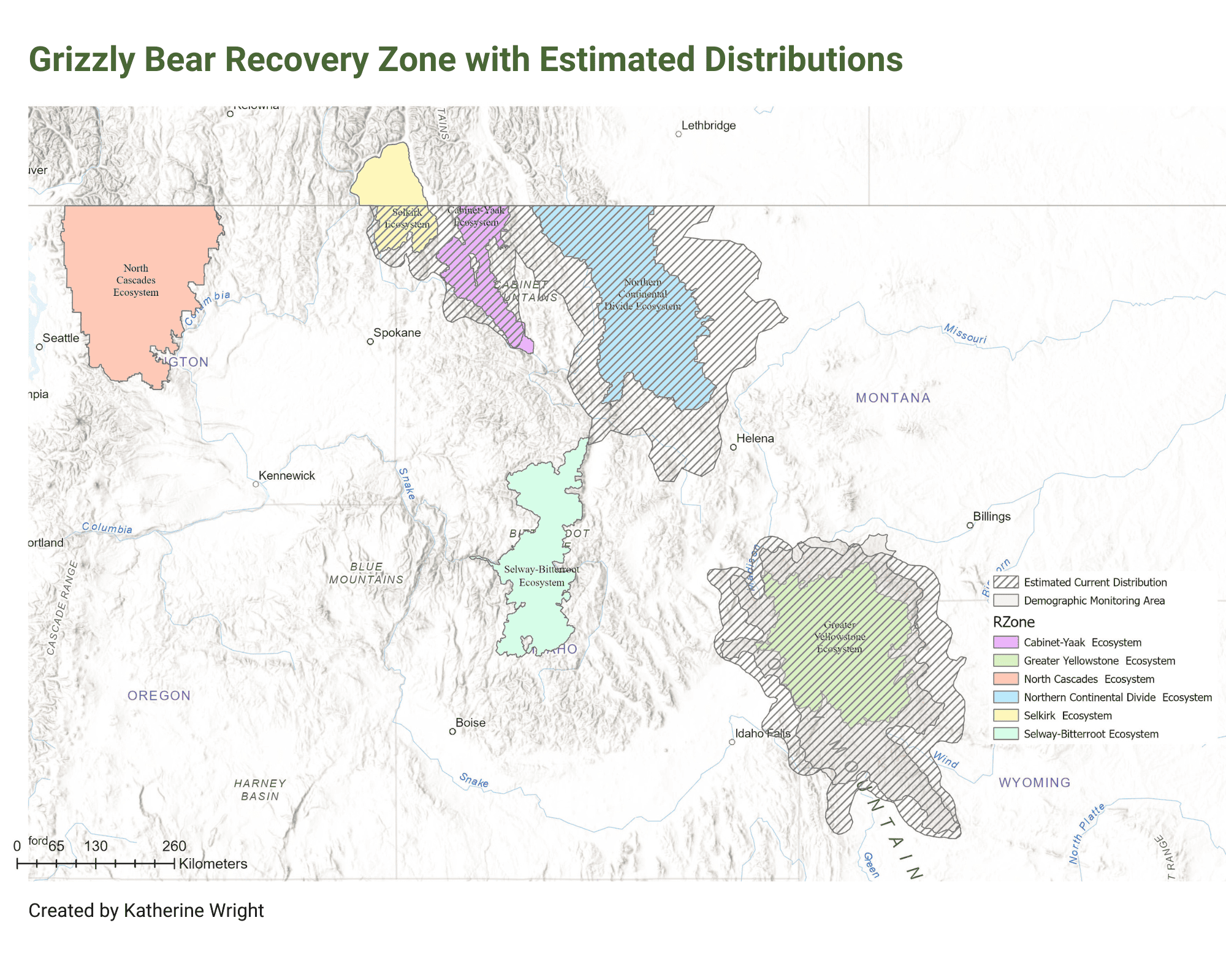 A Path Forward for the Grizzly Bear | PERC