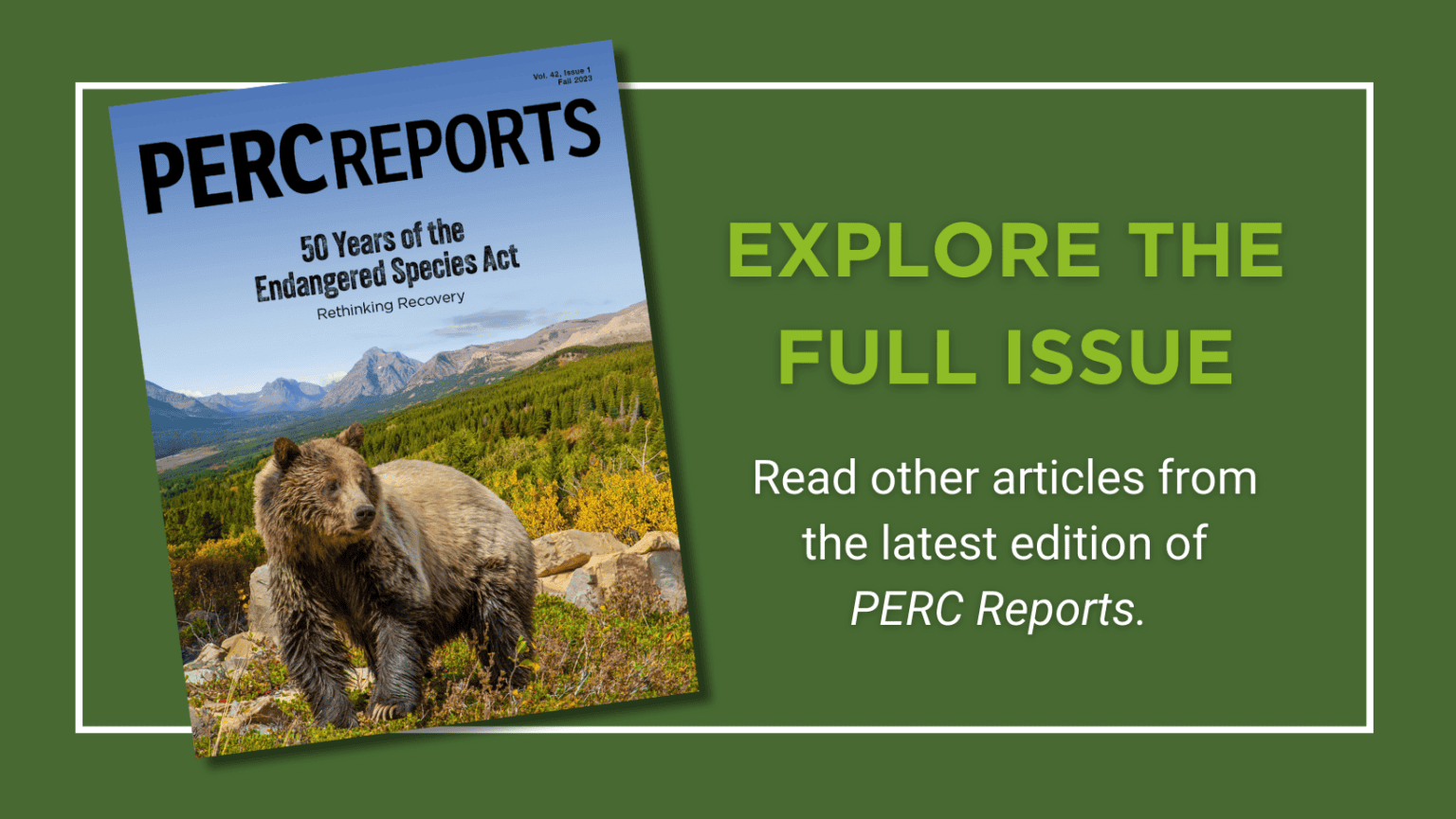 A Path Forward for the Grizzly Bear | PERC