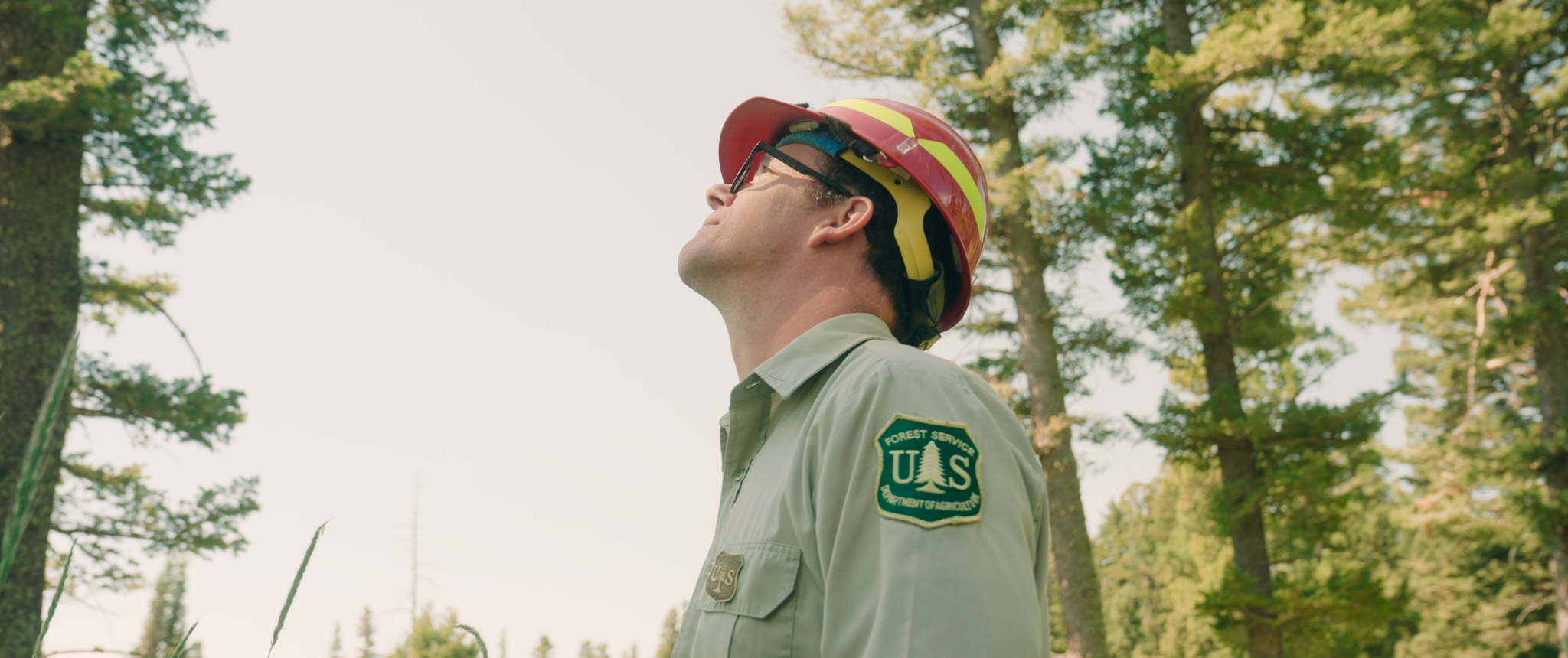 Good Fire, Bad Fire: Inside the Race to Restore America's Forests | PERC