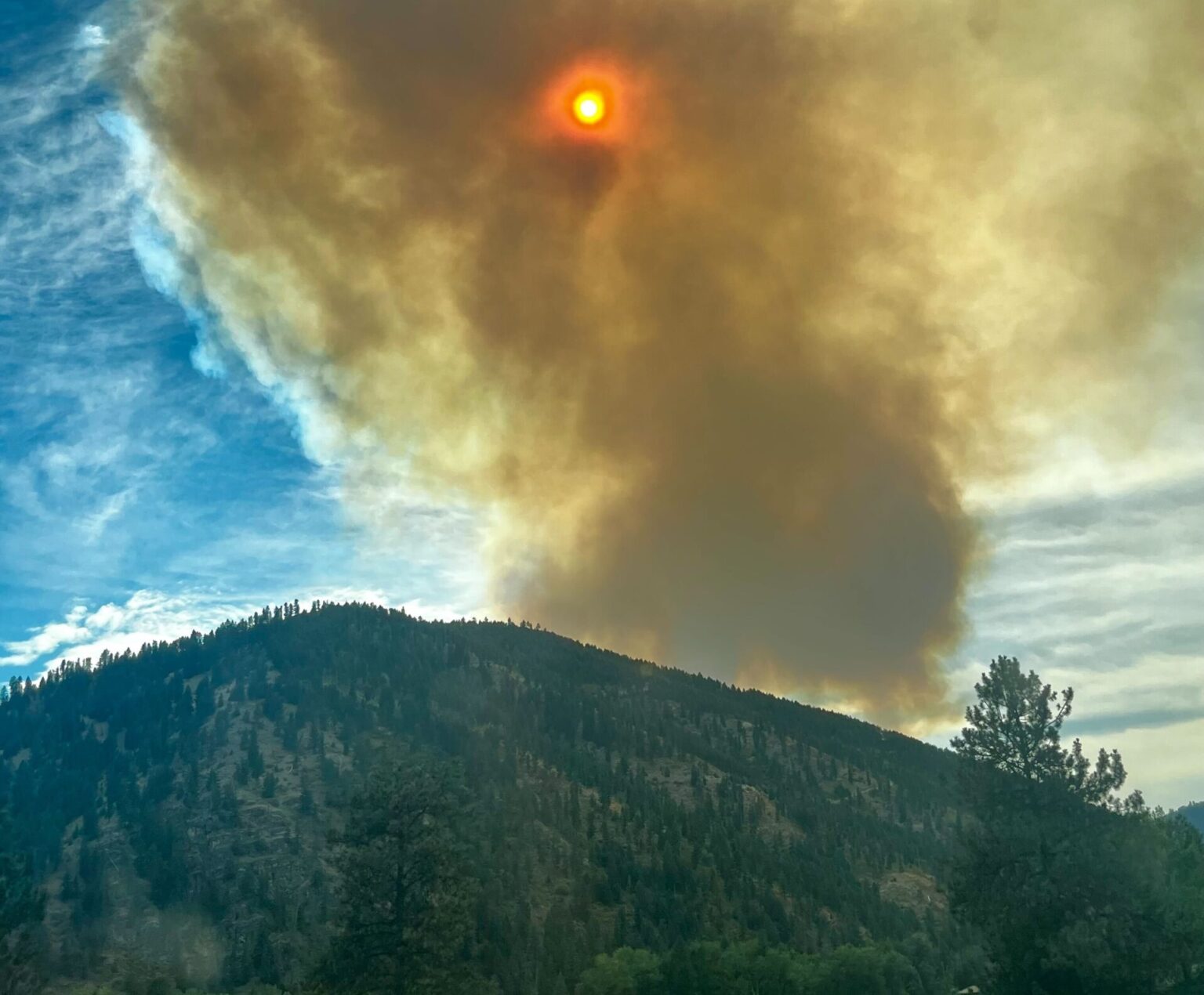 From Plans to Reality: The Vital Role of Categorical Exclusions in ...