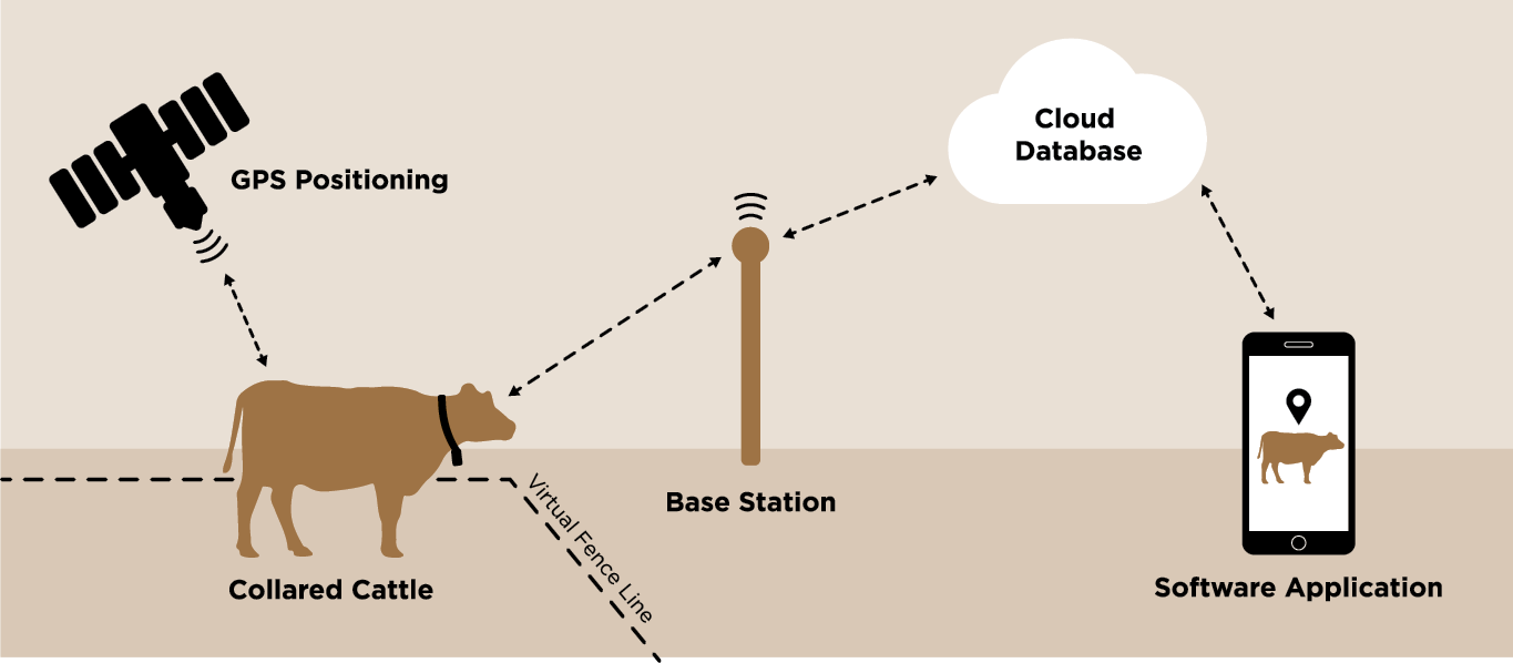 Unlocking the Conservation Potential of Virtual Fencing | PERC