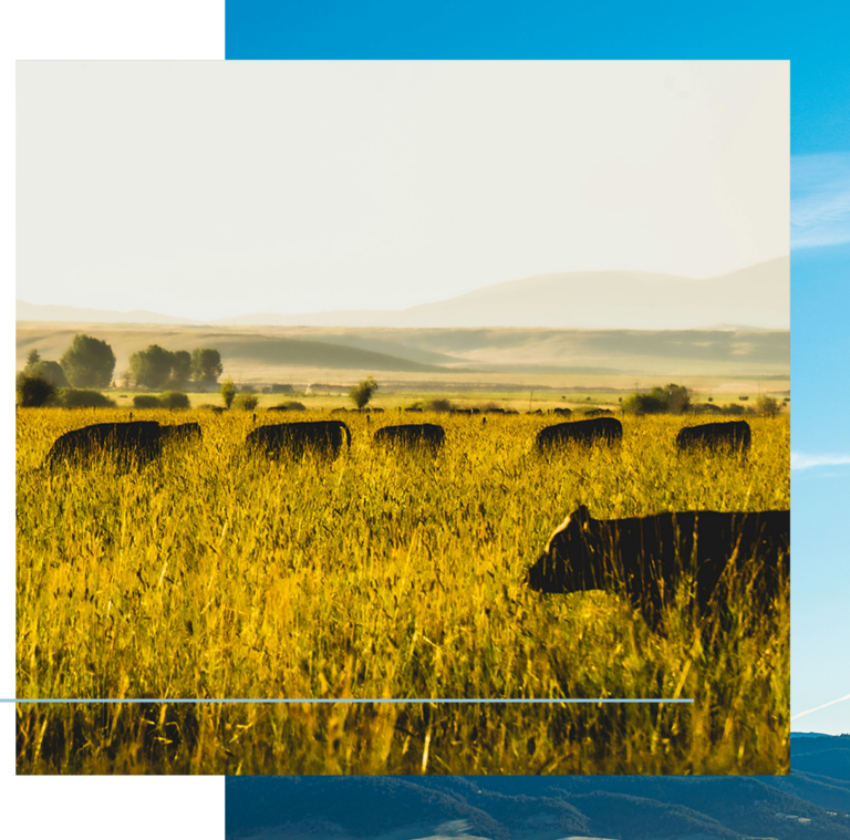 Innovation Lab | PERC