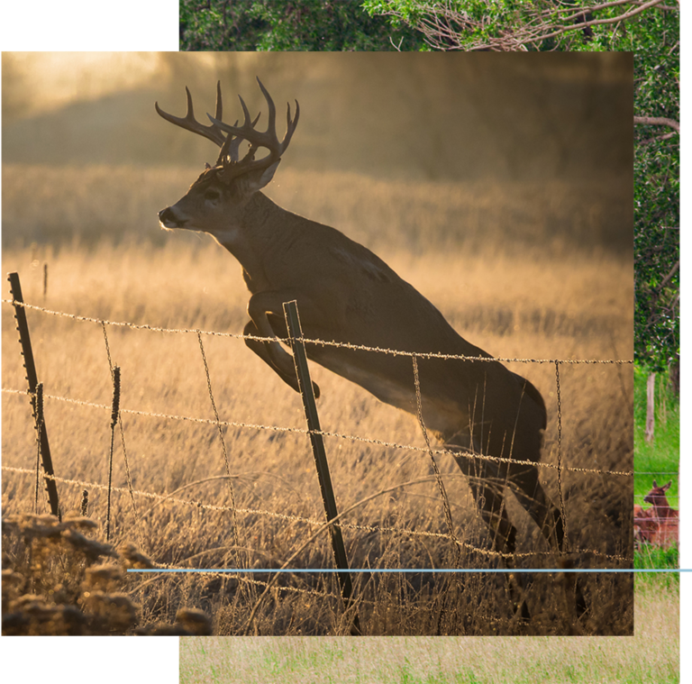 Innovation Lab | PERC