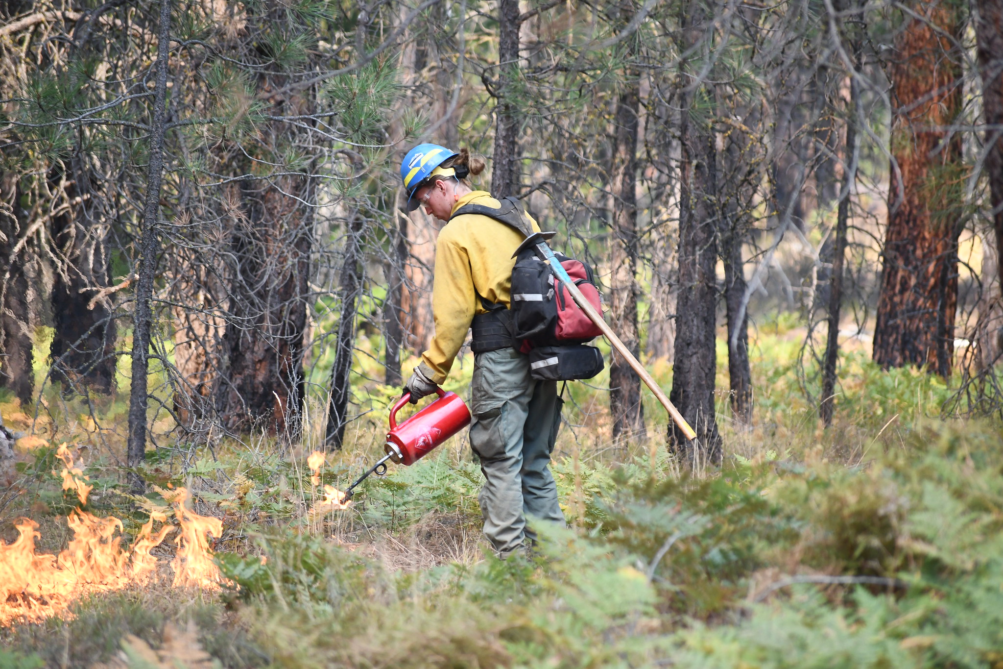 PERC Wildfire Risk Map | PERC
