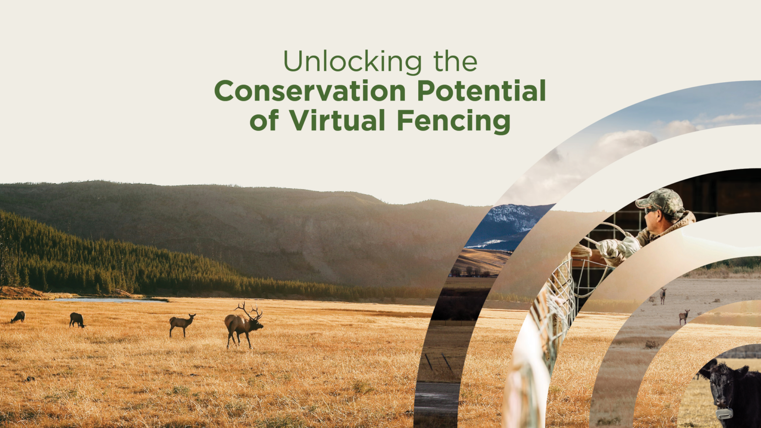 PERC and Virtual Fencing | PERC