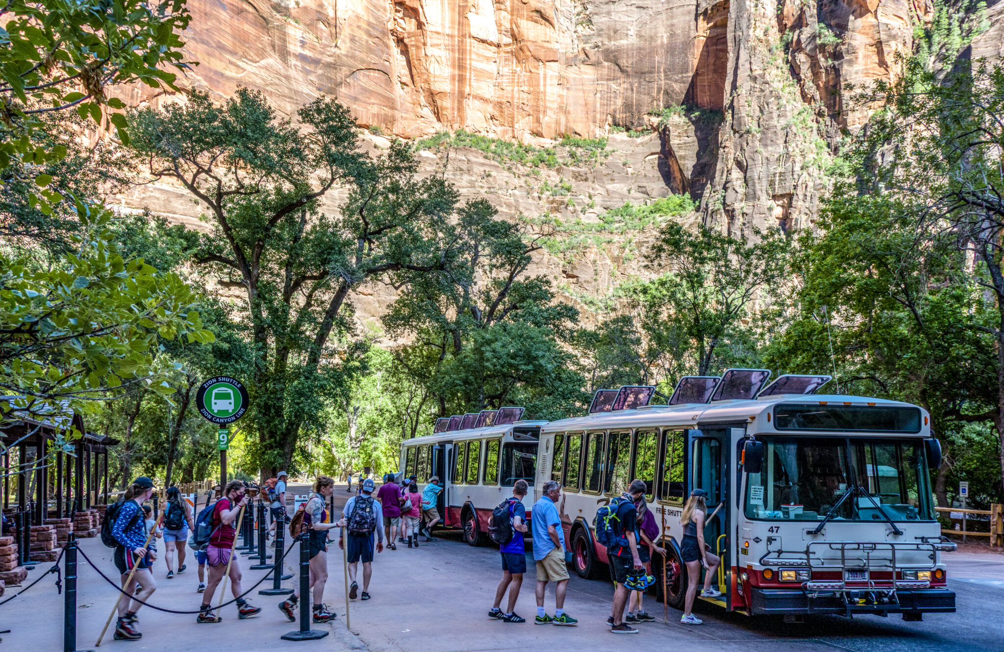 Inside the West's Wild Horse Crisis: Overpopulation Starvation, and the ...