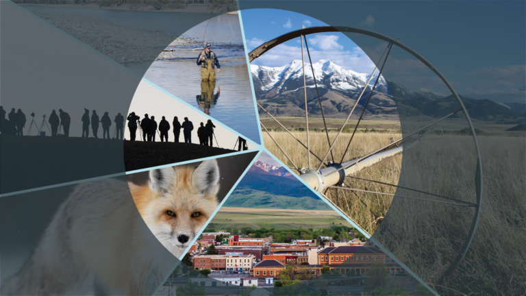 Fix Our Forests Act, Explained | PERC