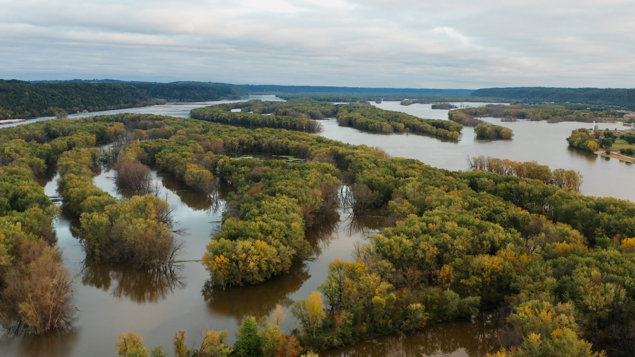 Pulling Wetlands Conservation Out of the Political Muck | PERC
