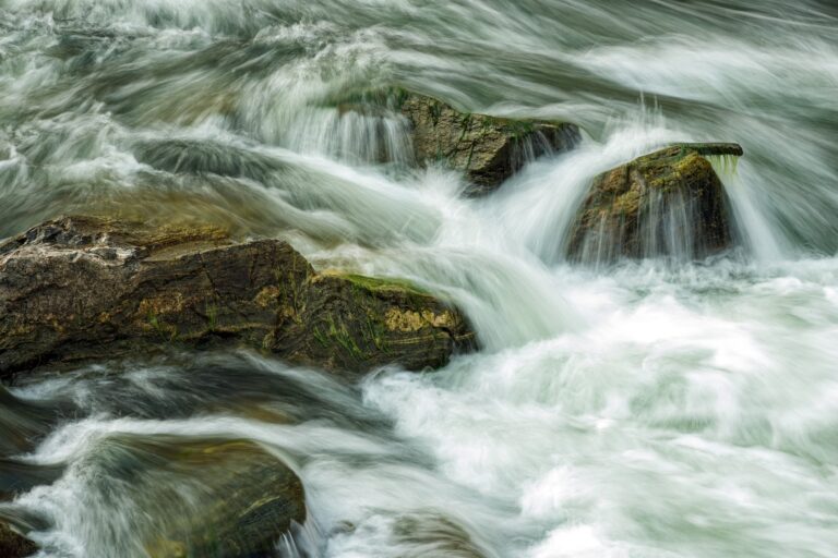 Water As the Lifeblood of Conservation | PERC