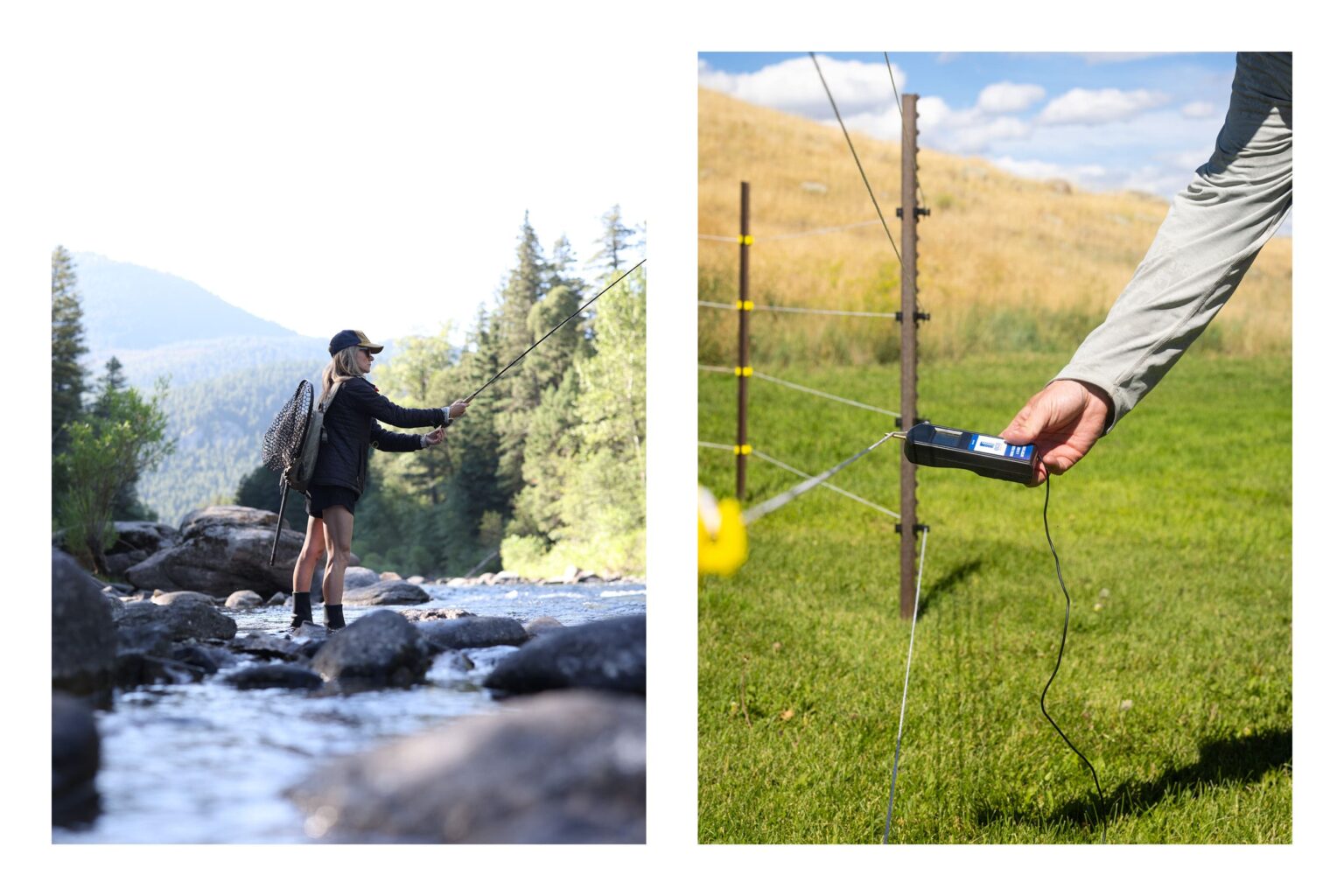 From Protection to Participation | PERC