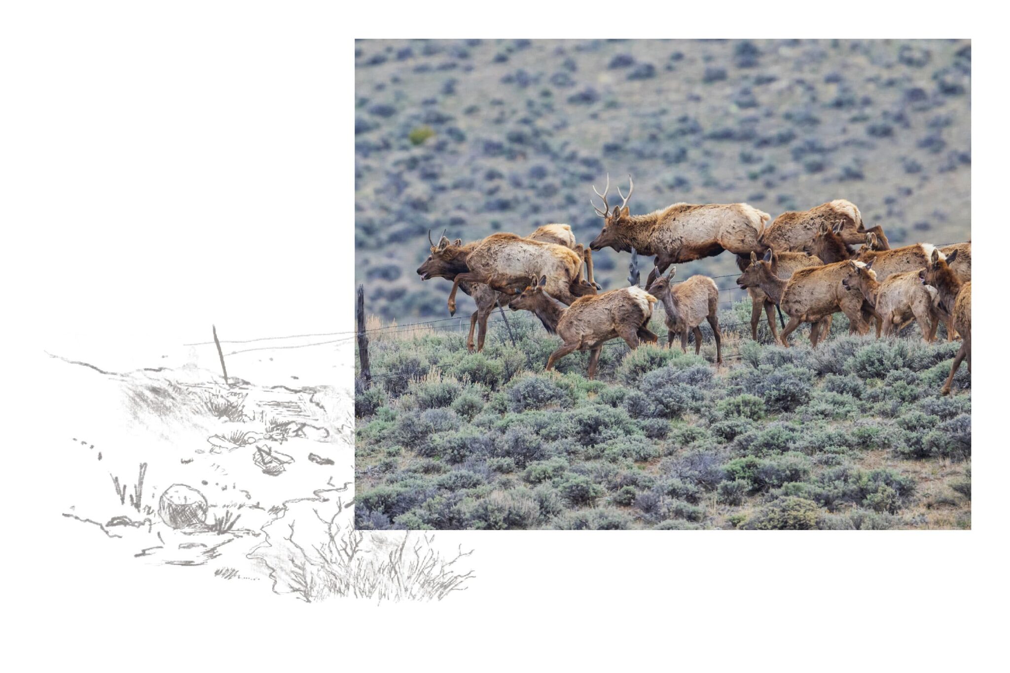 Conservation from the Ground Up | PERC