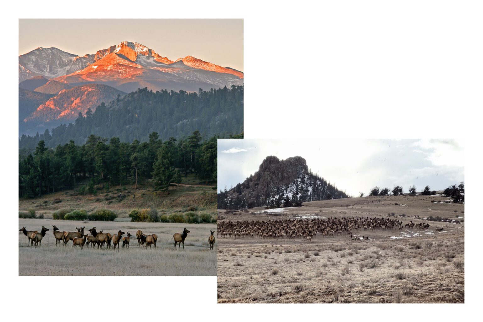 Conservation from the Ground Up | PERC