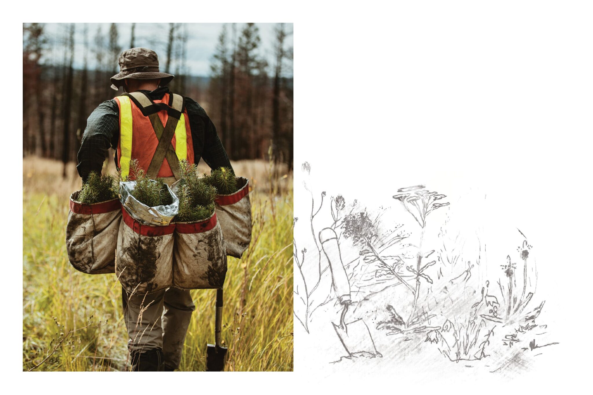 Ending the Era of Precaution | PERC