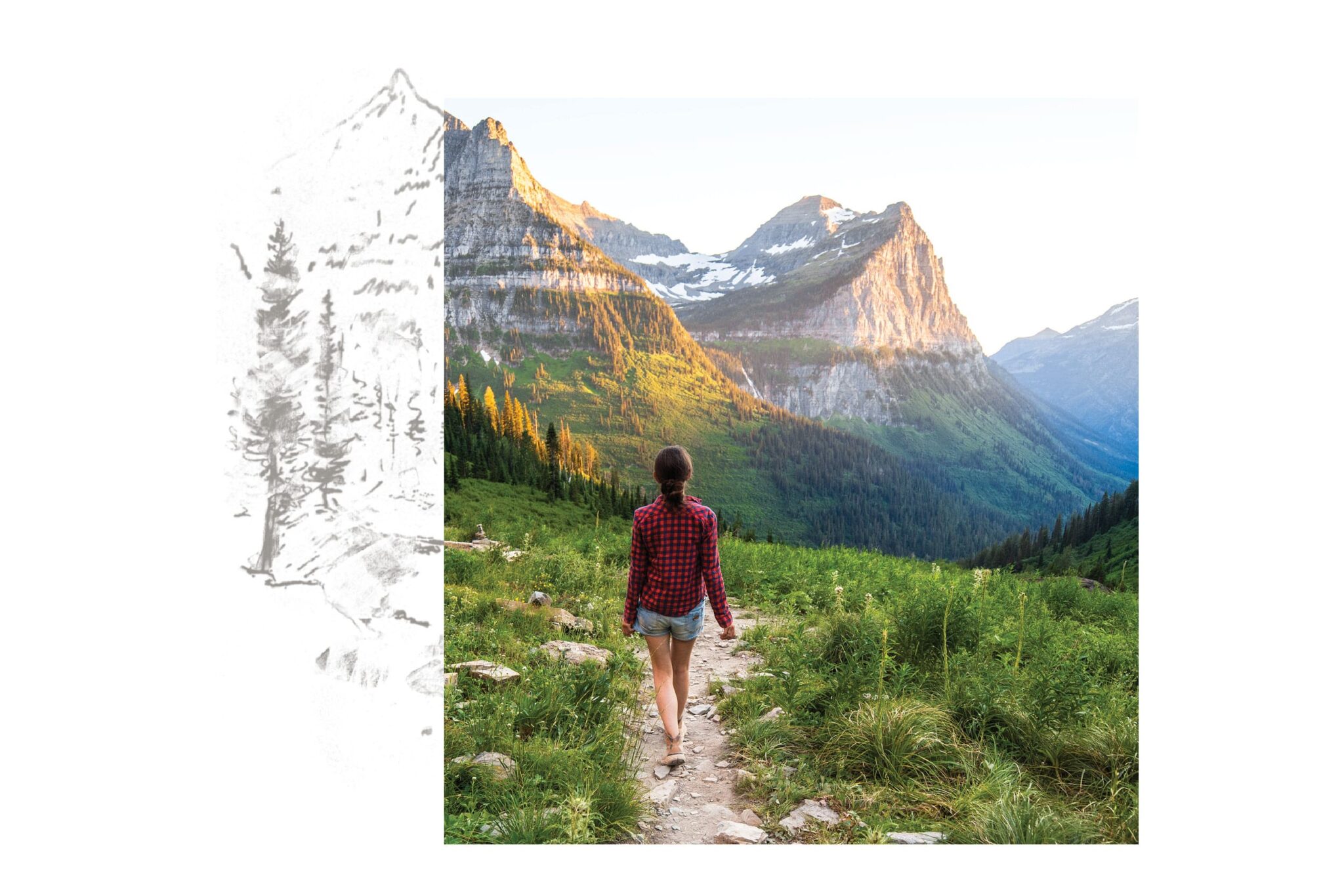 Conservation’s Future Is Rooted in Its Past | PERC