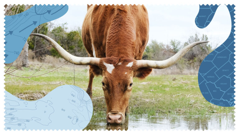 Improving Texas Water Markets | PERC